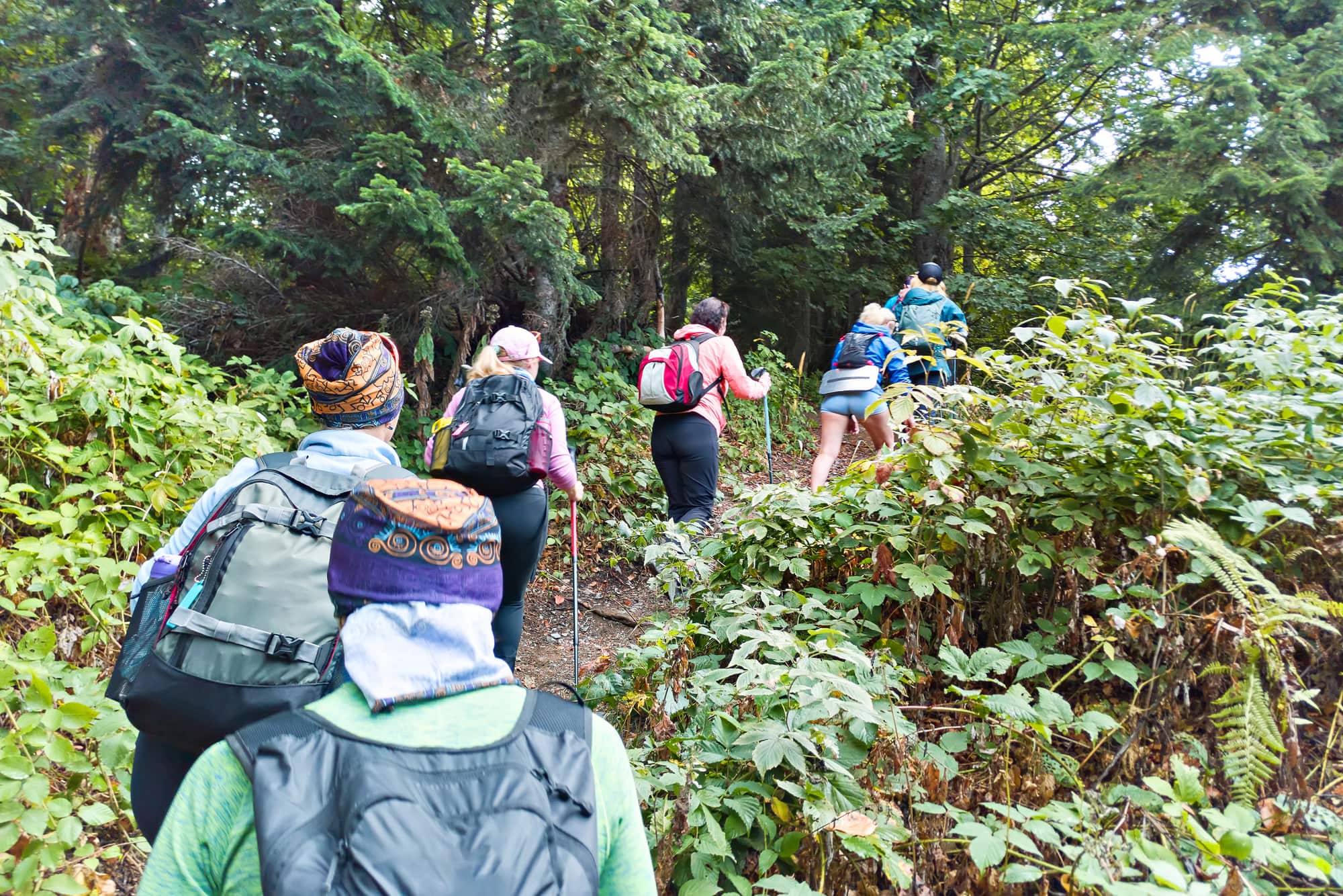 Home - Institute for Conservation Leadership